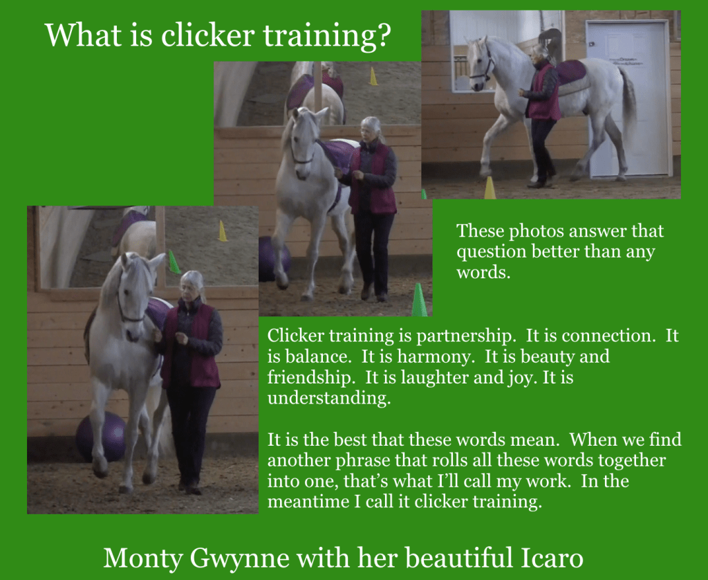 What Is Clicker Training? – The Clicker Center Blog